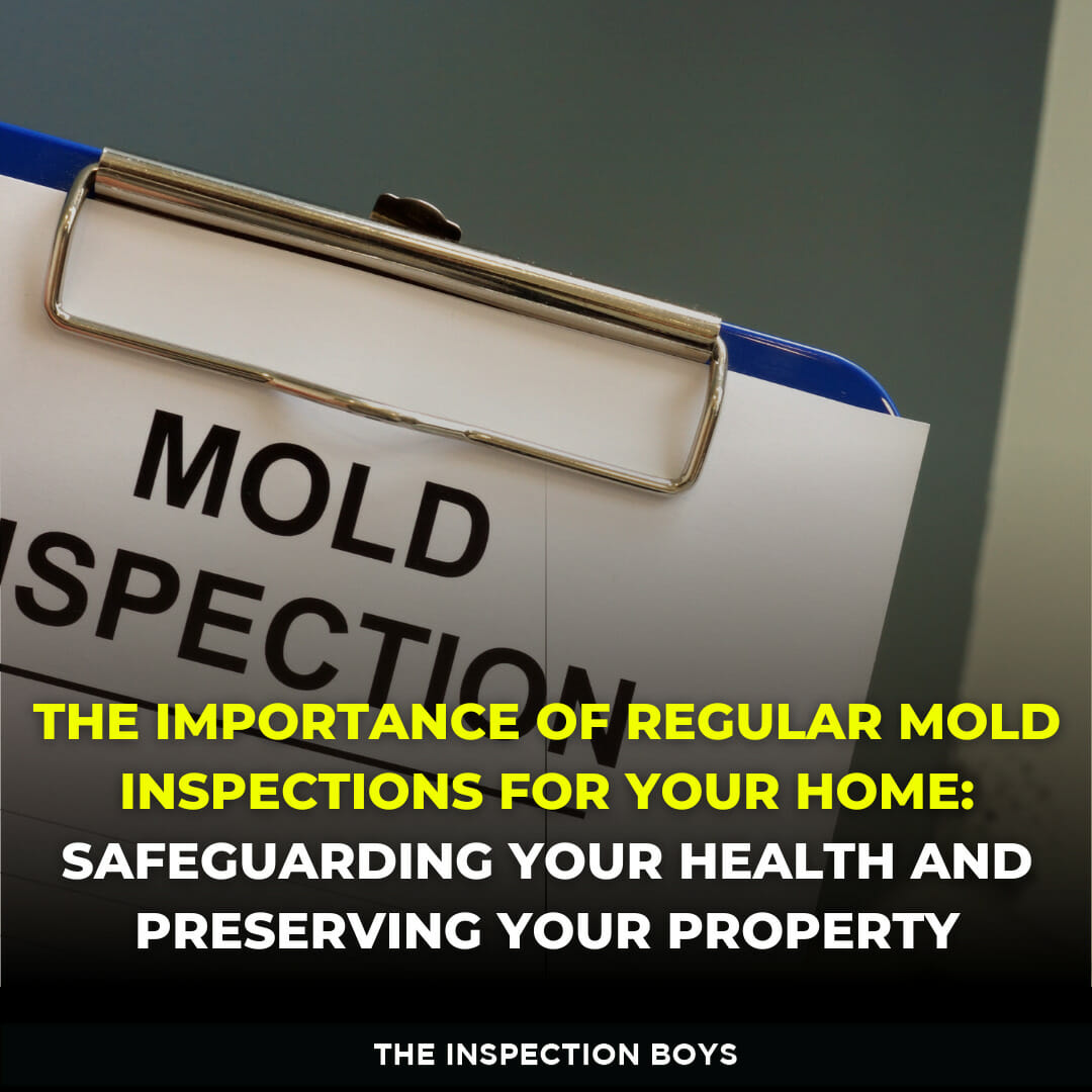 The Importance of Regular Mold Inspections for Your Home: Safeguarding Your